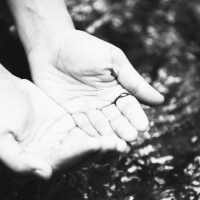 Ann Winter Story – Ann Winter is a storyteller, visual artist, teacher ...